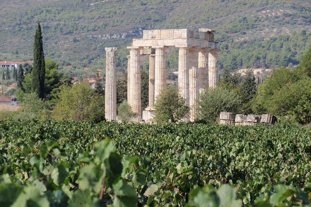 A Heartwarming Nemea 6-hour Wine Private Tour Of Greece